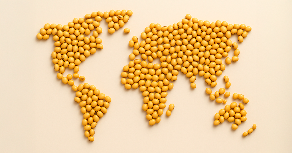 Brazilian Non-GMO Soybean Outlook – 2025 - ProTerra Foundation