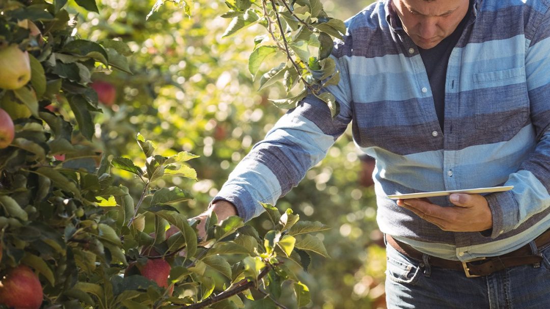 Supplier Management System in the context of ProTerra Certification ...