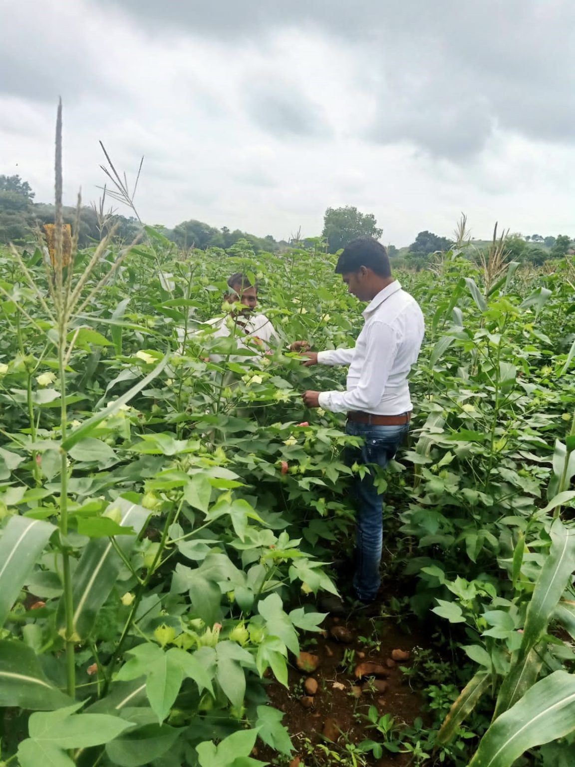 Presenting ProTerra Network Member - Sonic Biochem - ProTerra Foundation