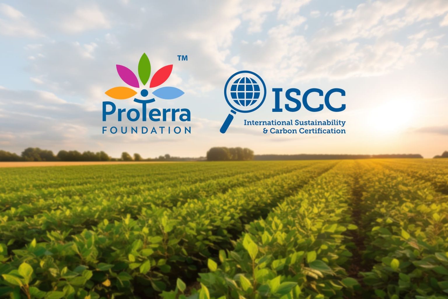 Benchmarking: ProTerra V5 and ISCC* - ProTerra Foundation